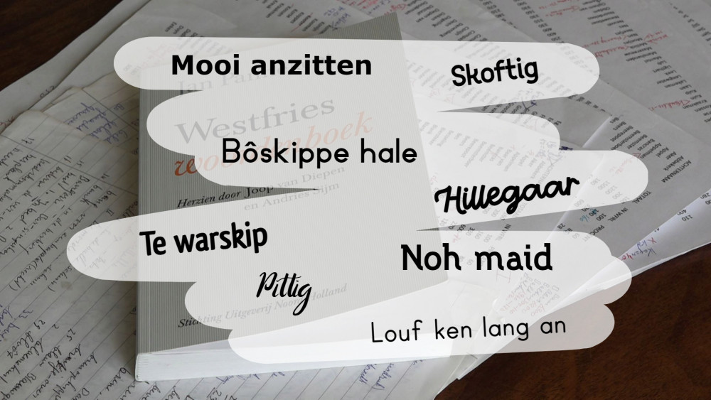 Stem mee: wat is jouw favoriete Westfriese woord of gezegde ...